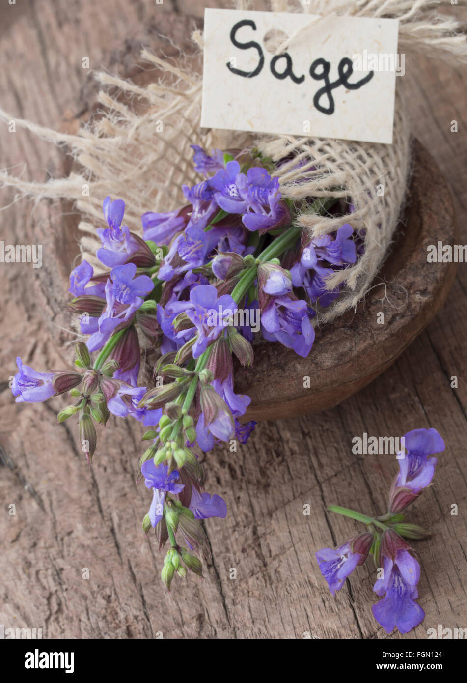 Sage tea raw hi-res stock photography and images - Alamy