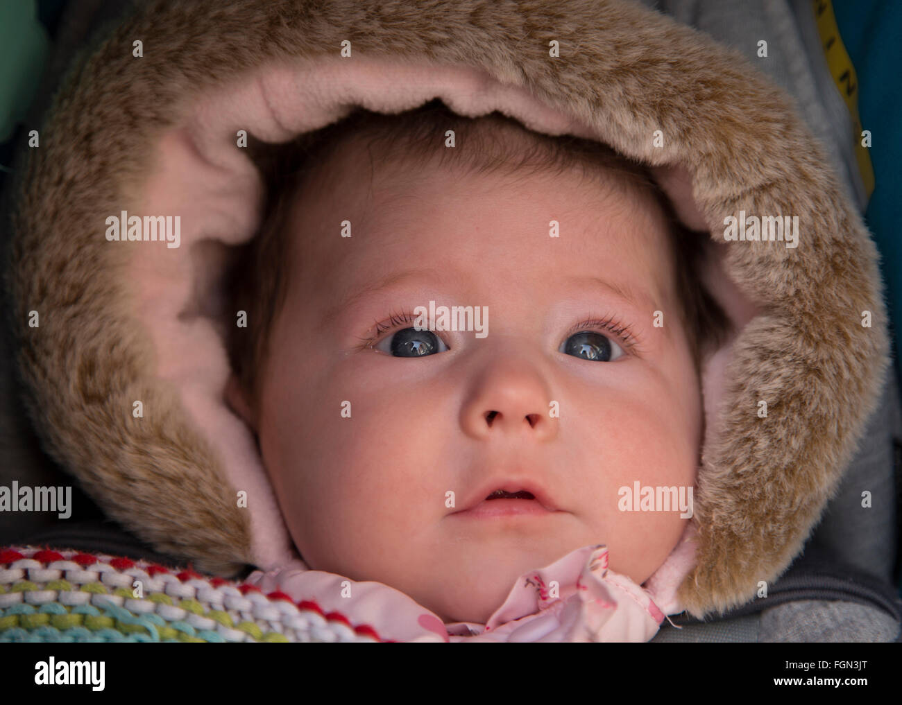 close up portrait of alert baby girl in winter Stock Photo - Alamy