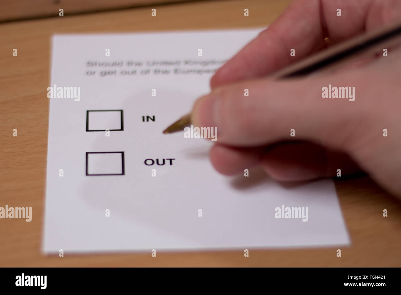 Someone choosing between In or Out options on a voting ballot Stock ...