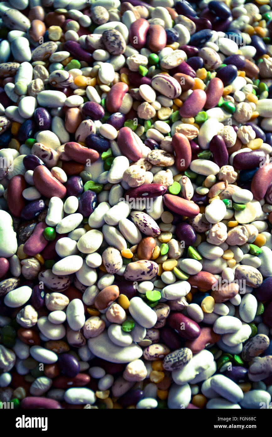 A huge pile of mixed dried beans of all varieties make a colorful ...