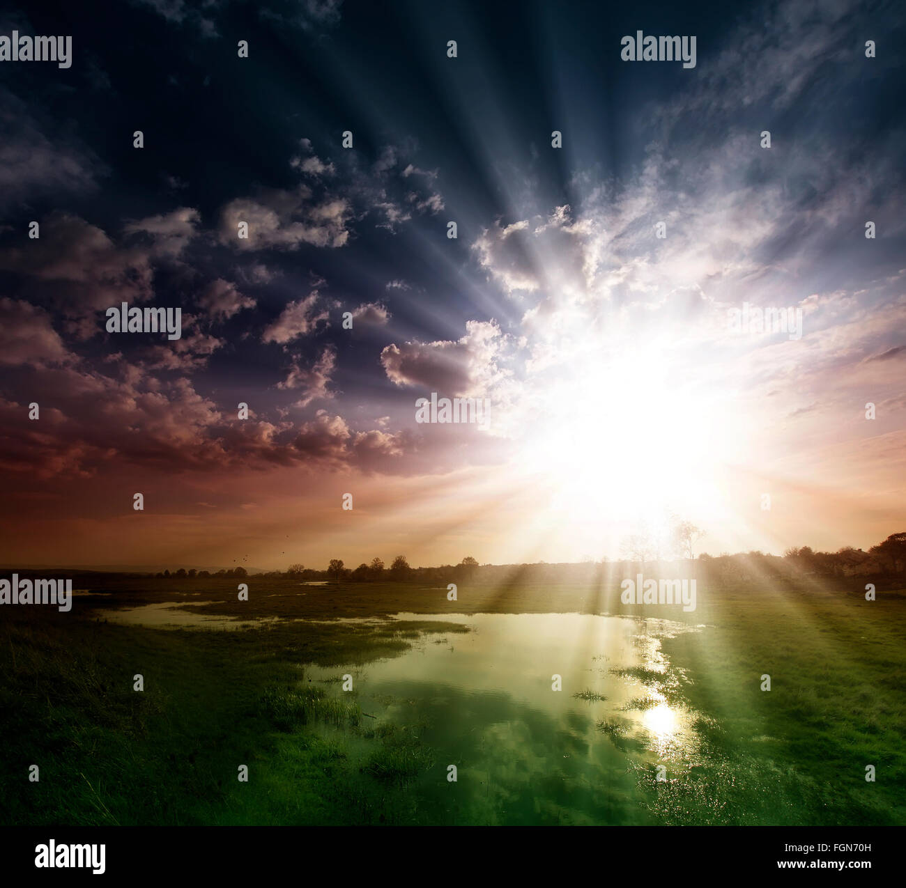 Landscape, sunny dawn in a field Stock Photo - Alamy