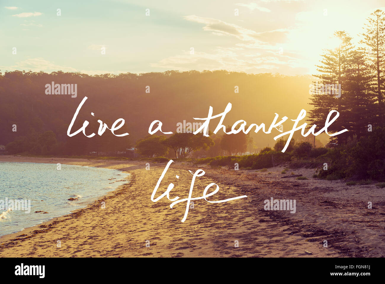 Handwritten text over sunset calm sunny beach background, LIVE A ...