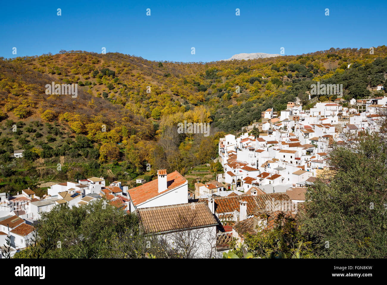 Serrania de ronda genal valley hi-res stock photography and images - Alamy