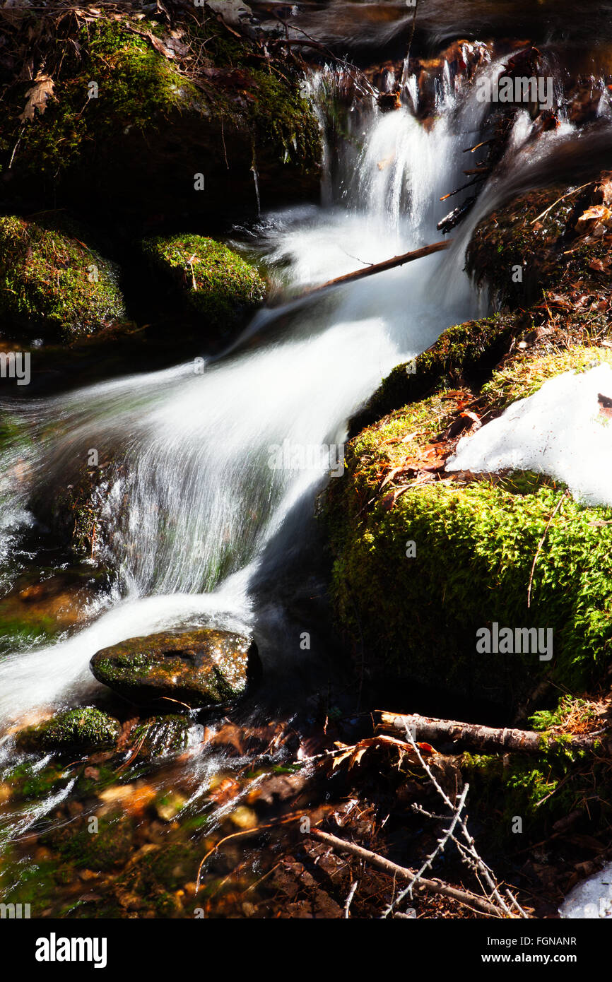 Small stream flowing over rocks in spring Stock Photo - Alamy