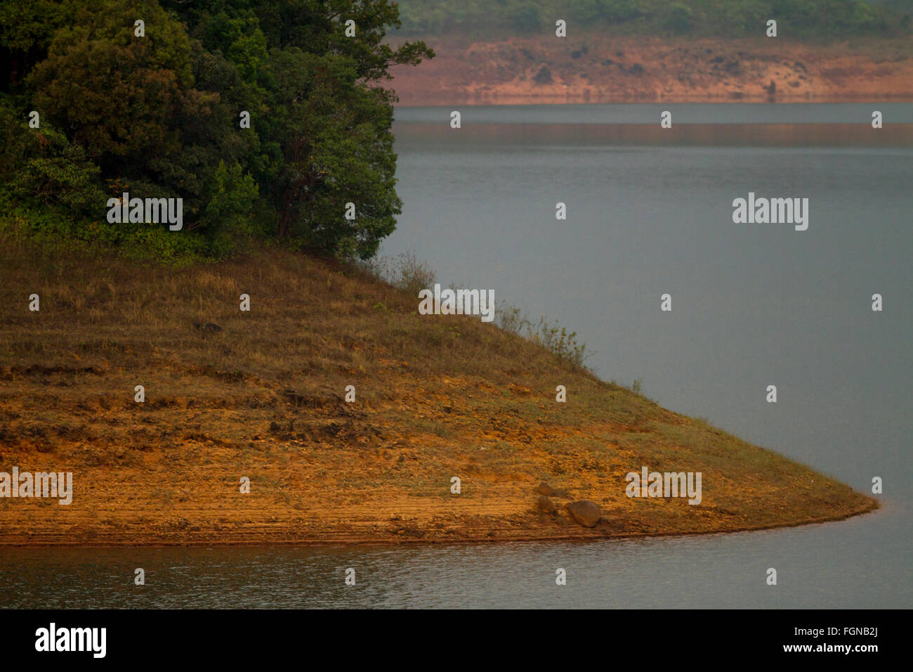 A lake view from Kakki reservoir, Gavi route, Kerala, India Stock Photo ...