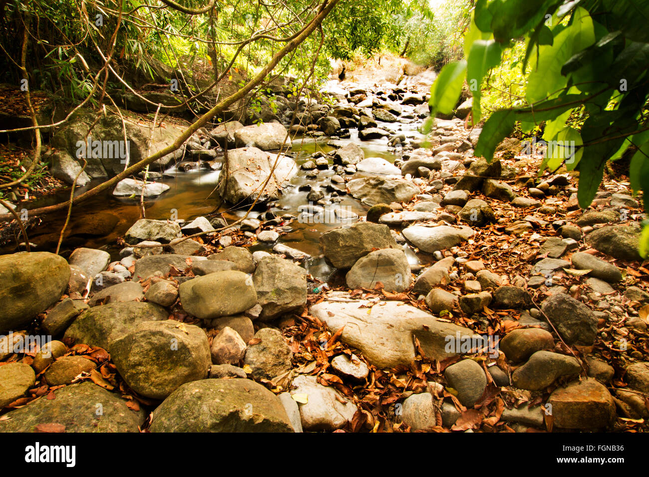 brown natural wet rocks in river water background Stock Photo - Alamy