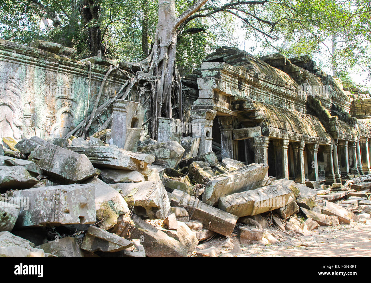 Landscape view of the overgrown structures with trees coming through ...