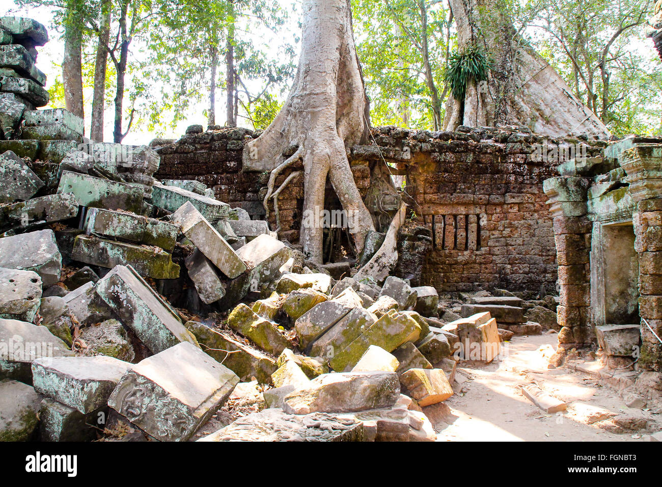 Landscape view of the overgrown structures with trees coming through ...