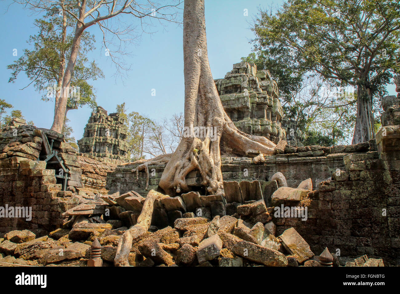 Landscape view of the overgrown structures with trees coming through ...