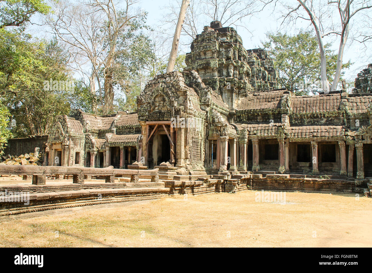 Landscape view of the overgrown structures with trees coming through ...
