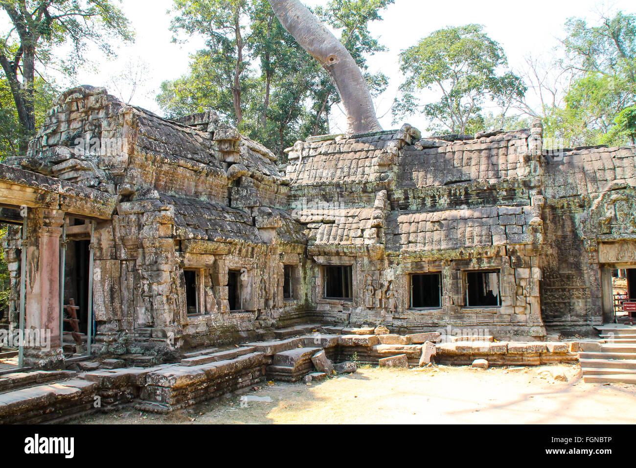landscape view of the overgrown structures with trees coming through ...
