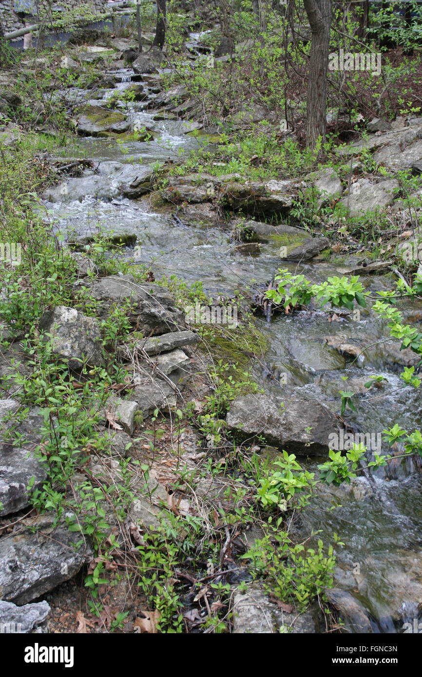 Stream, green, water Stock Photo - Alamy