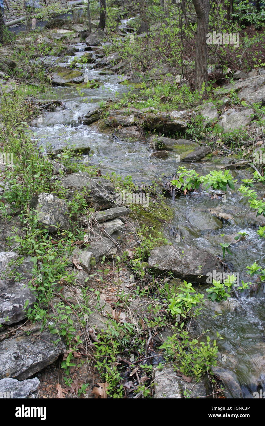 Calm water stream hi-res stock photography and images - Alamy