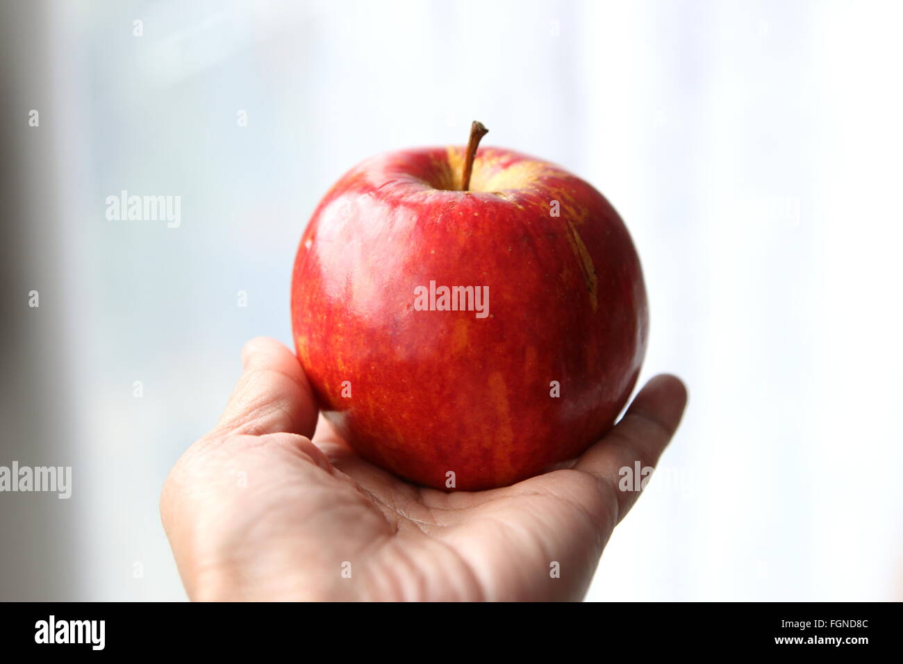Left hand holding object hi-res stock photography and images - Alamy
