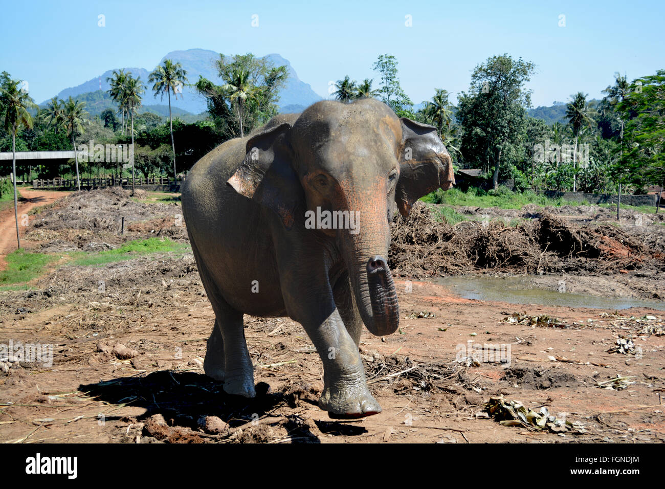 Posishan hi-res stock photography and images - Alamy