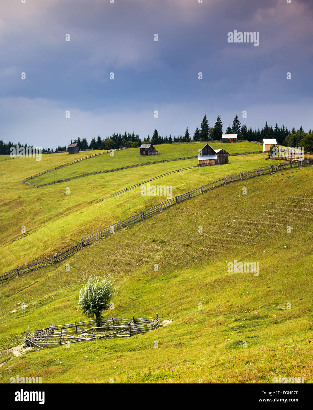 Country scene hi-res stock photography and images - Alamy