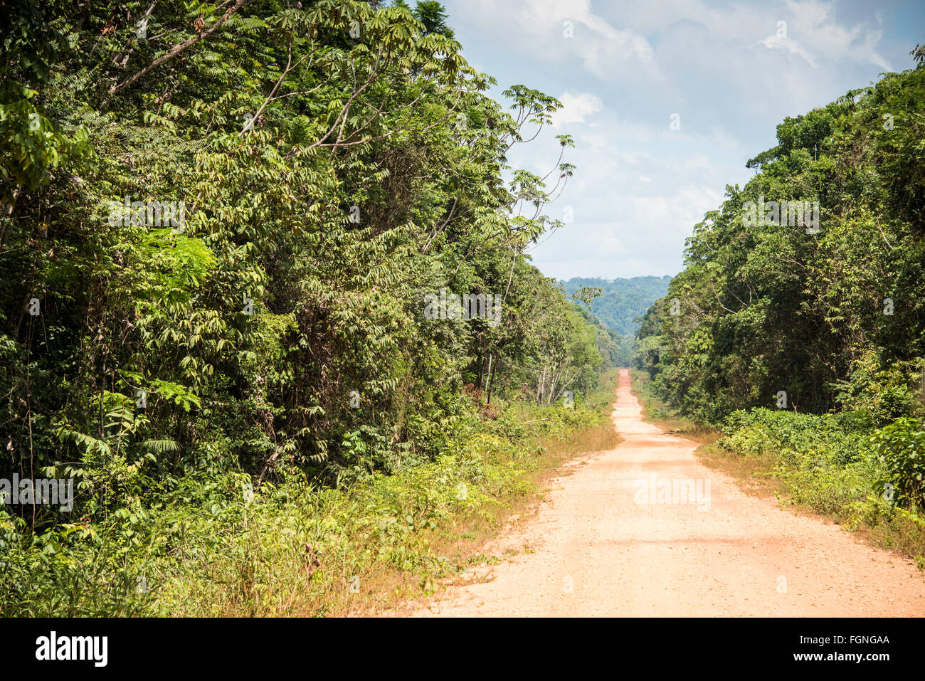 Rough Road through the Jungle, Guyana Stock Photo - Alamy