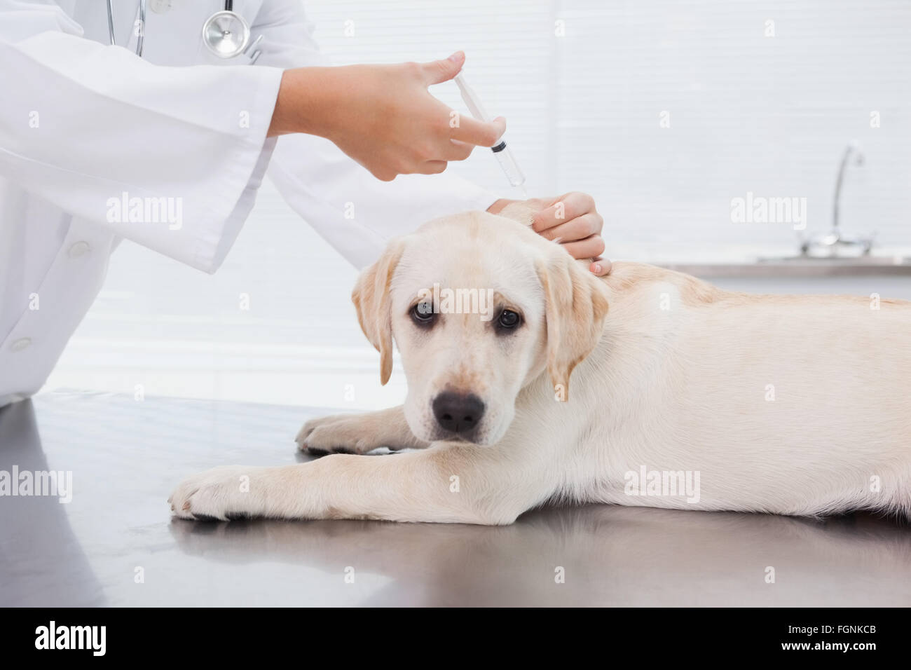Young woman doing injection hi-res stock photography and images - Alamy