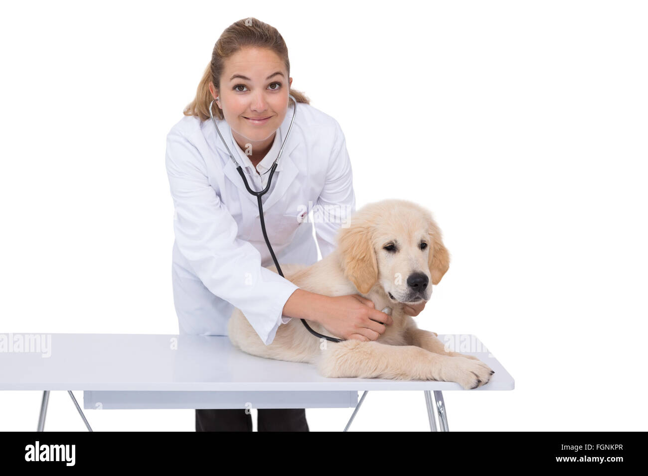 Smiling vet hi-res stock photography and images - Alamy