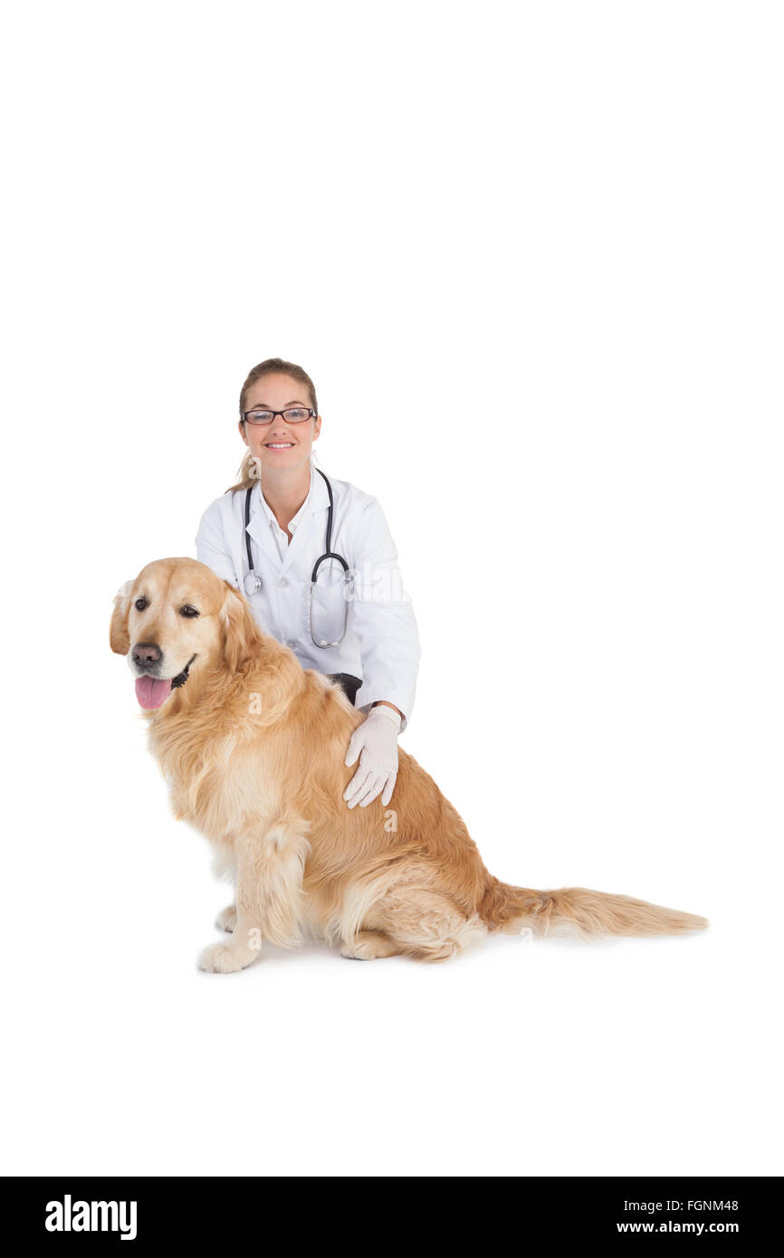 Smiling vet with a labrador Stock Photo - Alamy