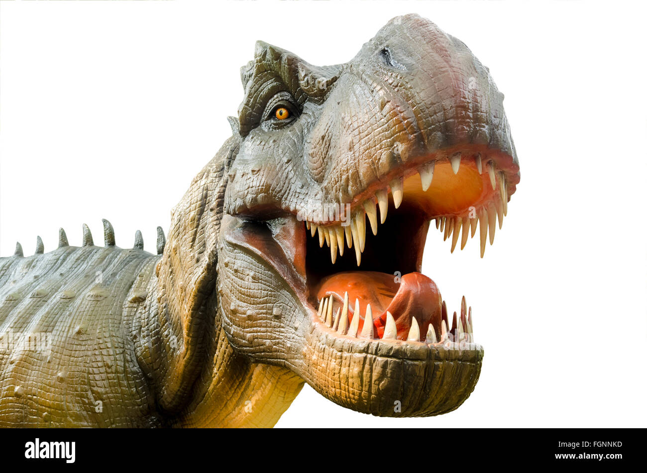 Aggressive T Rex dinosaurs on white background Stock Photo - Alamy