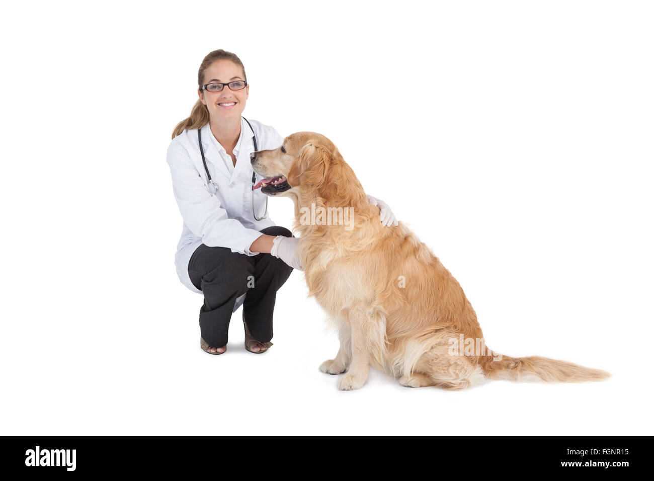 Smiling vet with a labrador Stock Photo - Alamy