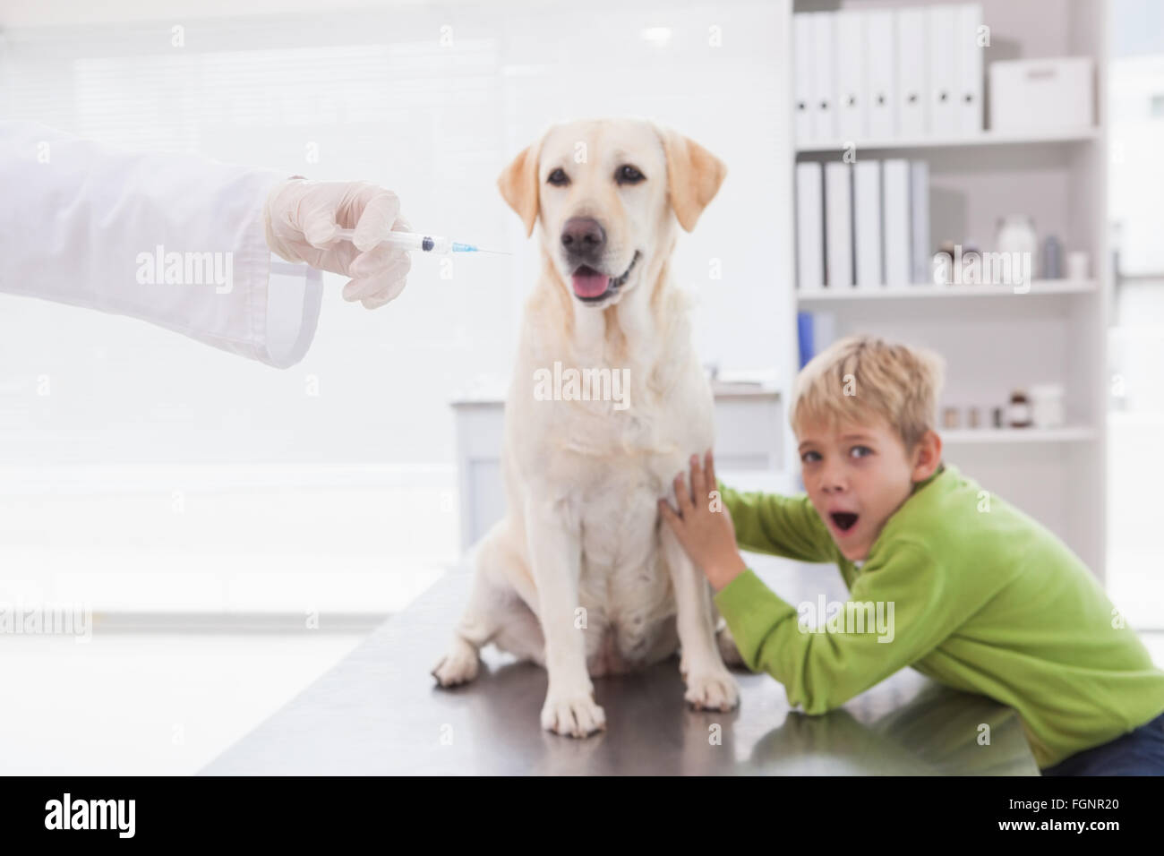 Vet examining a dog with its scared owner Stock Photo - Alamy