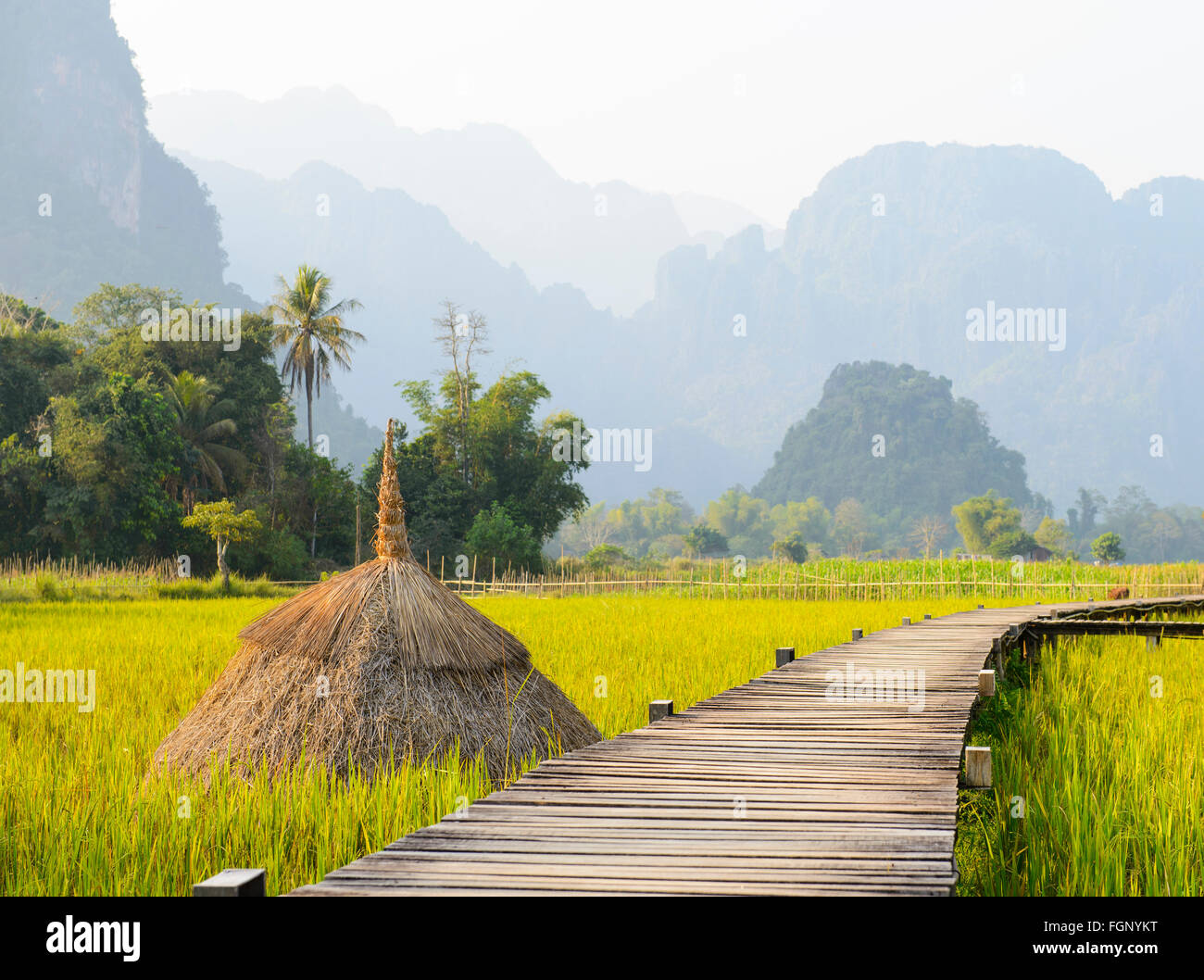 Rural landscape rice paddy fields hi-res stock photography and images ...