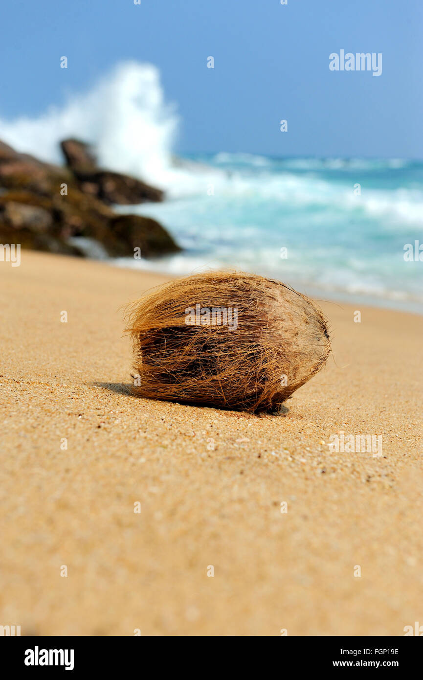 Tropical island coconut hi-res stock photography and images - Alamy