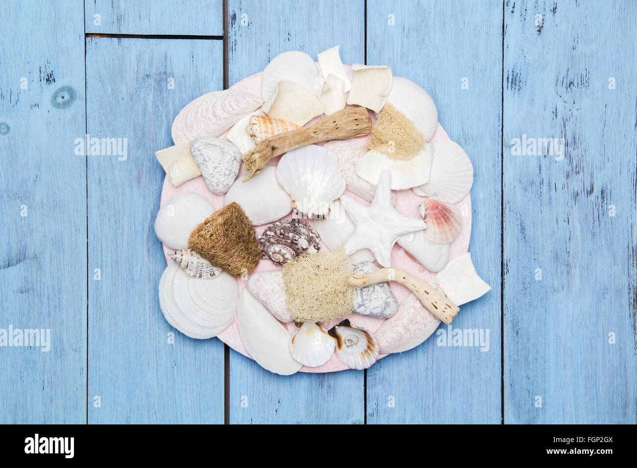 Decorative panels of sea shells Stock Photo - Alamy