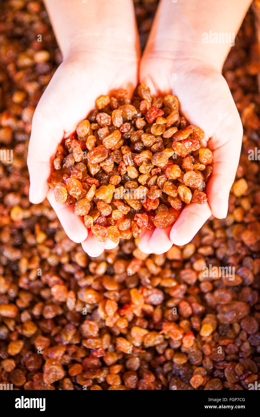 Raisins held in palms Stock Photo - Alamy
