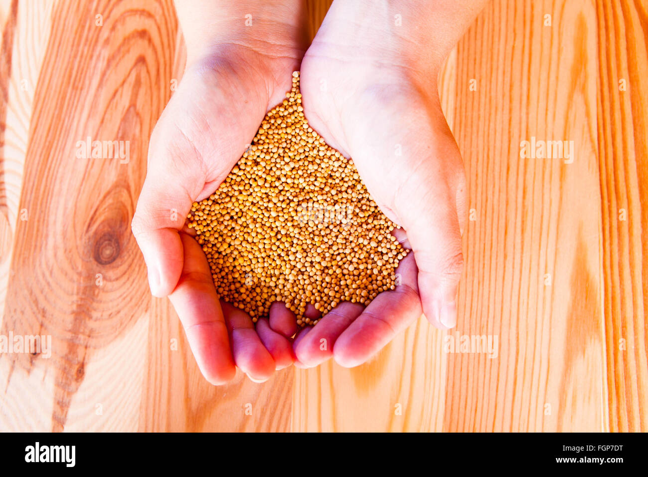 White sesame held in hands Stock Photo - Alamy
