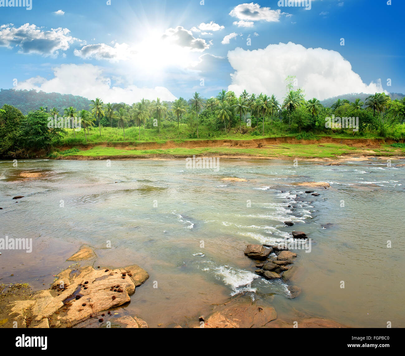 Fast river in bright jungle at sunny morning, Sri Lanka Stock Photo - Alamy