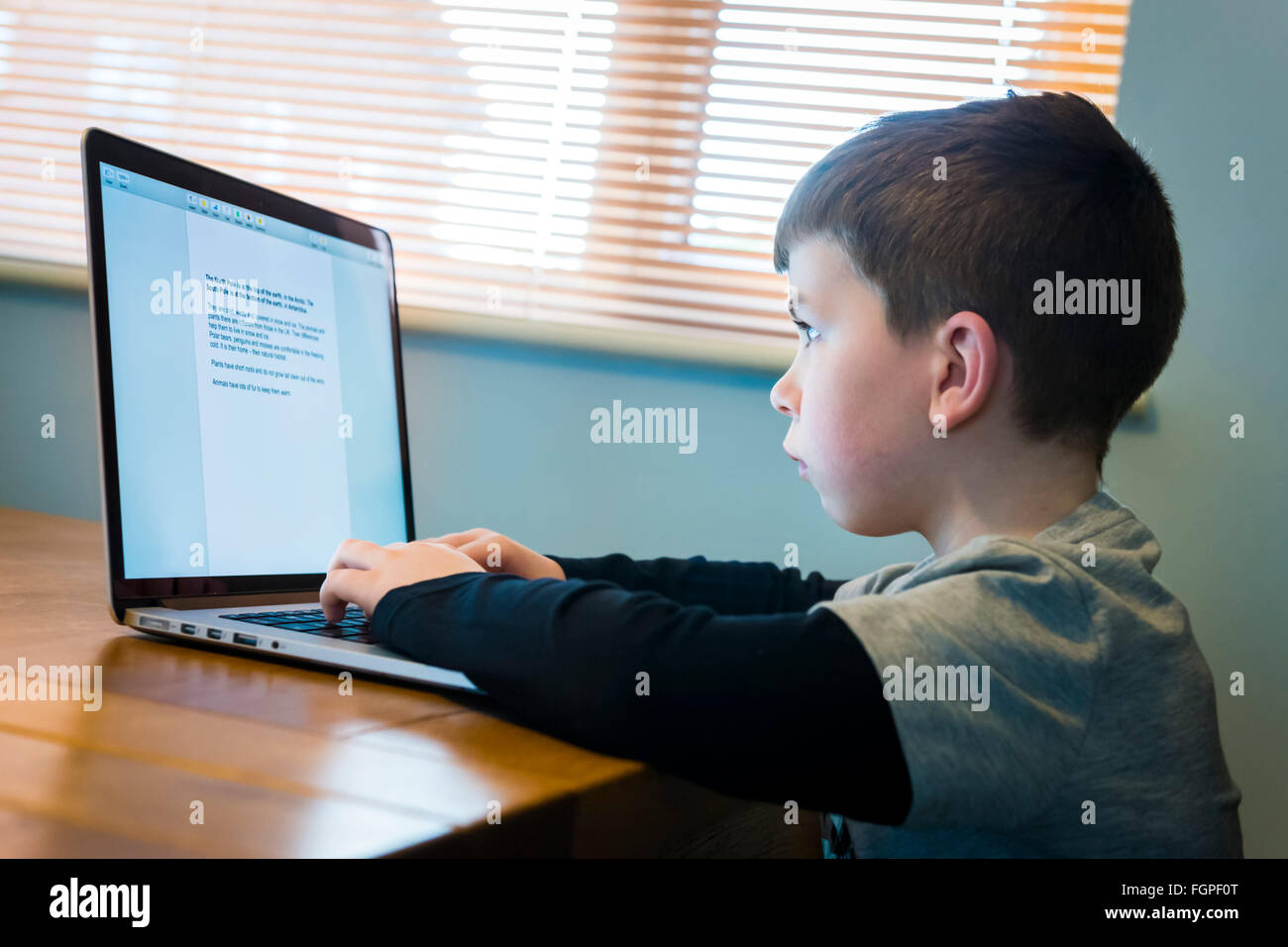 young boy using a computer Stock Photo - Alamy