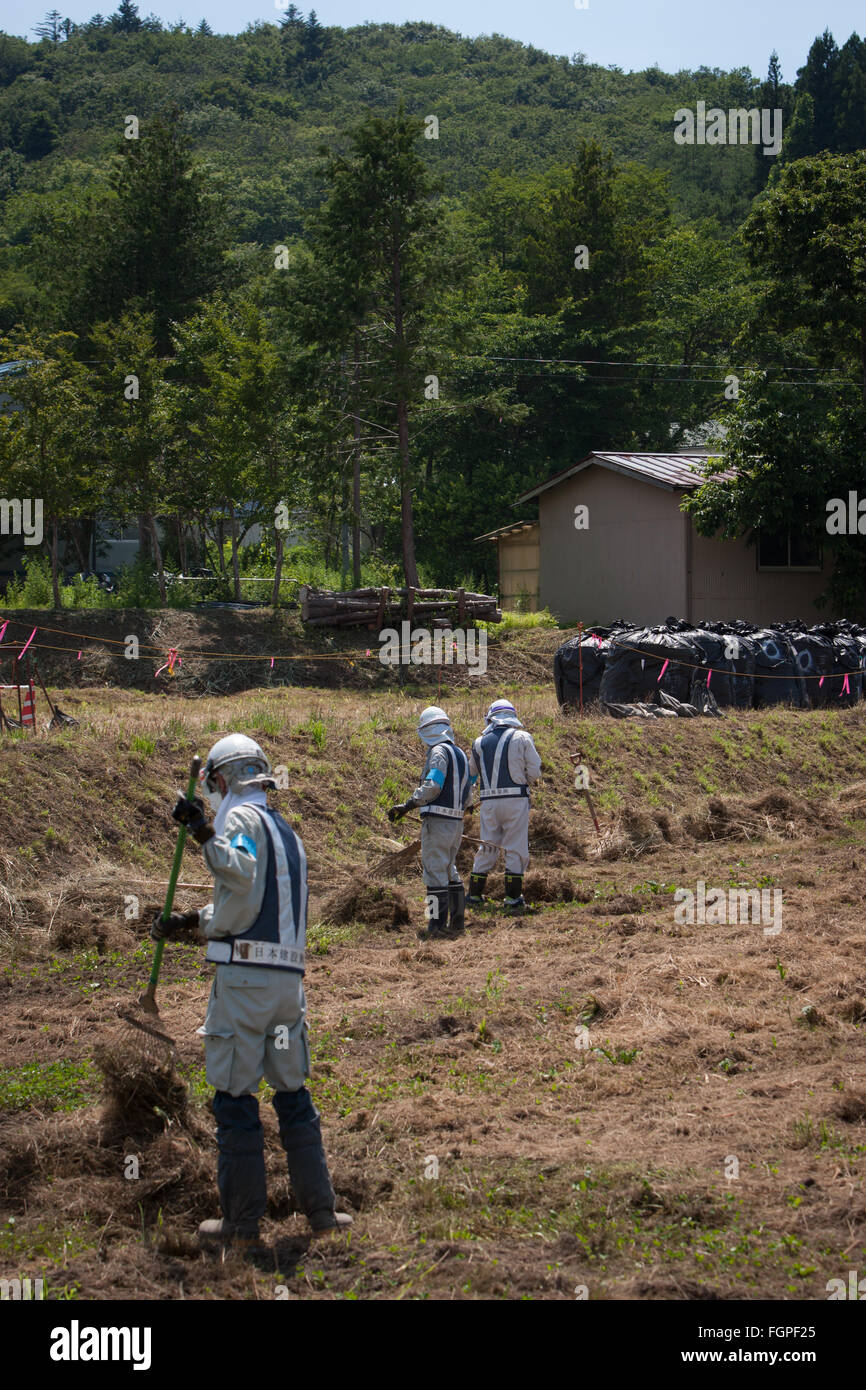Radioactive decontamination process of the forests and fields, in ...