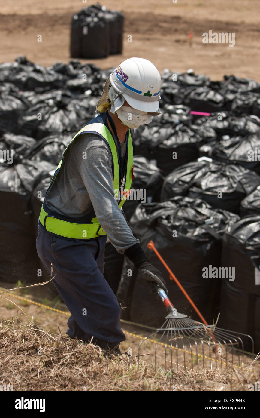 Radioactive decontamination process of the forests and fields, in ...