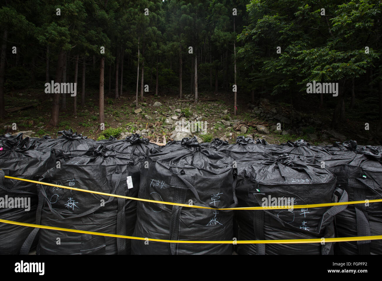 Bags of radioactive waste lay in forest during radioactive ...