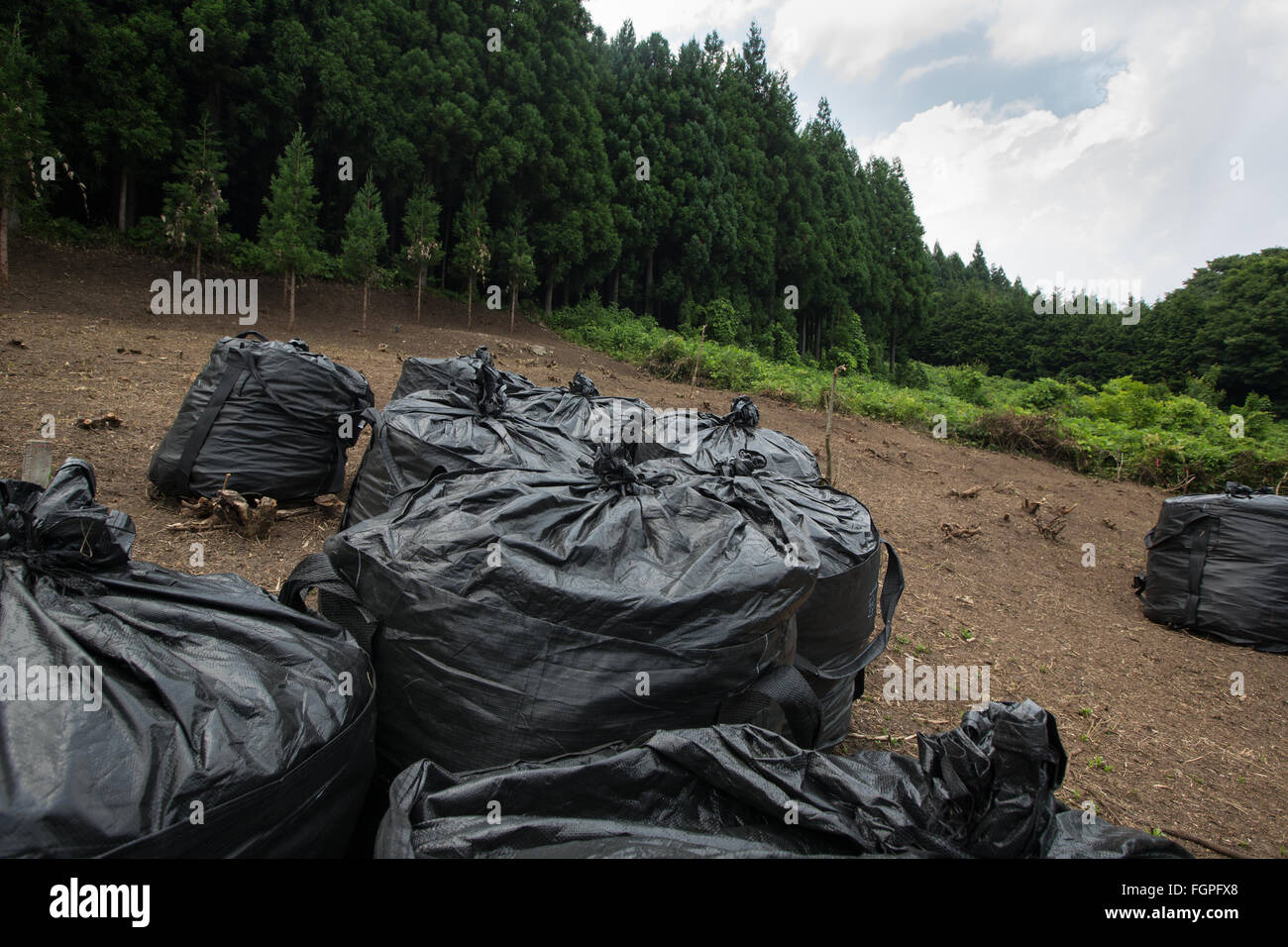 Radioactive waste hi-res stock photography and images - Alamy