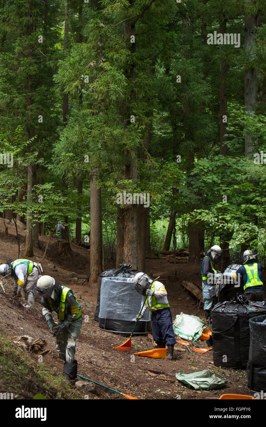 Radioactive decontamination process of the forests and fields, in ...