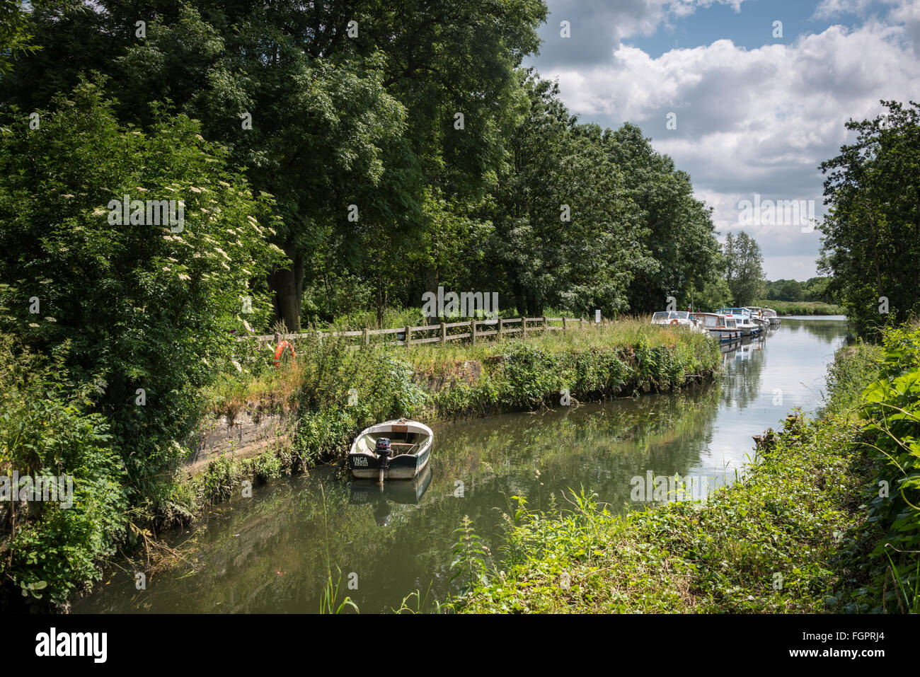 The river Waveney, near Bungay in Suffolk Stock Photo - Alamy