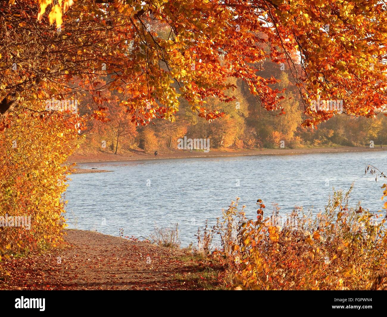 Autumn at Lake Ammer, Bavaria Stock Photo - Alamy