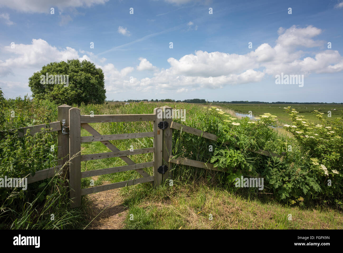 Walks near Thurne Stock Photo - Alamy