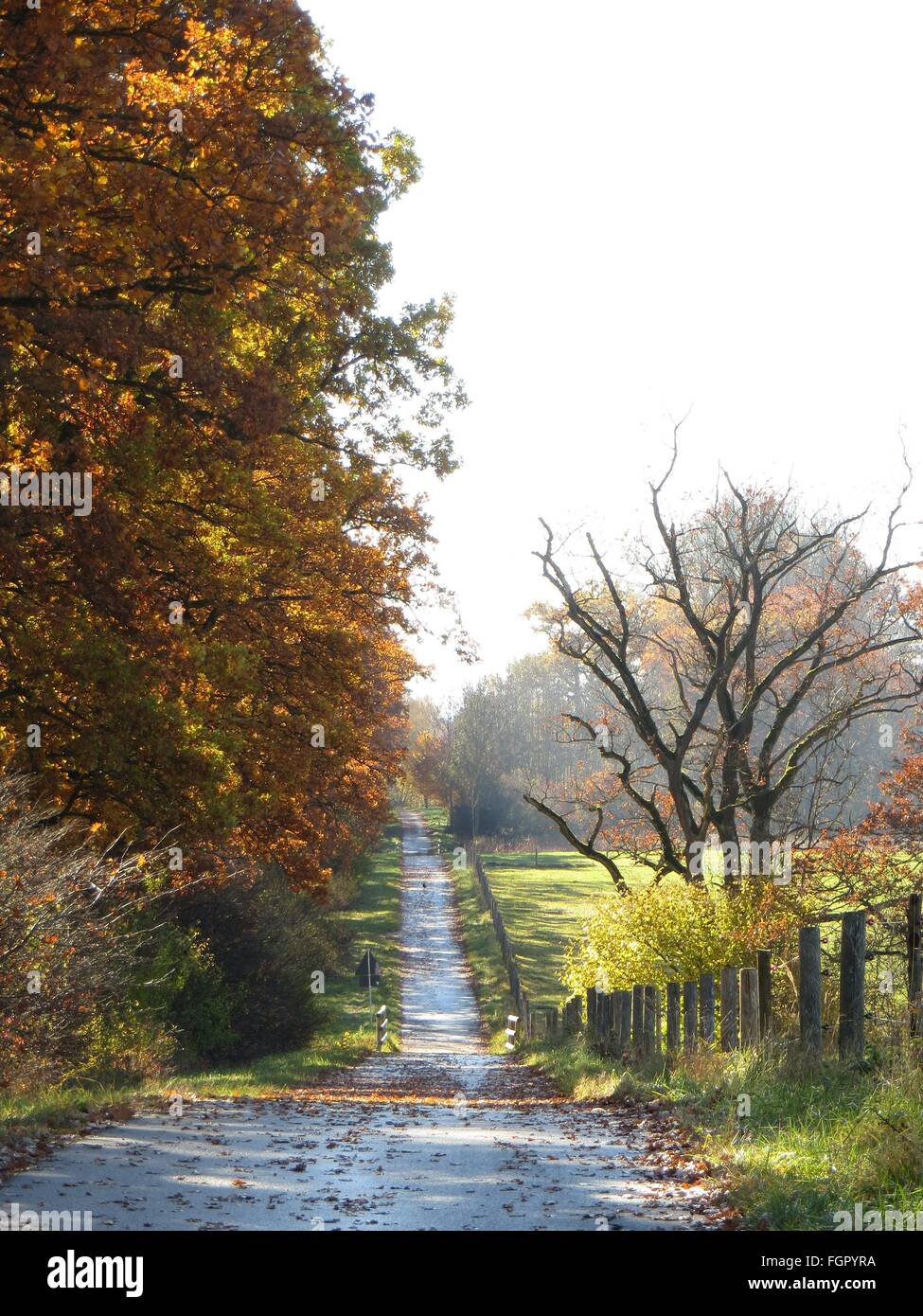 Autumn in Bavaria Stock Photo - Alamy