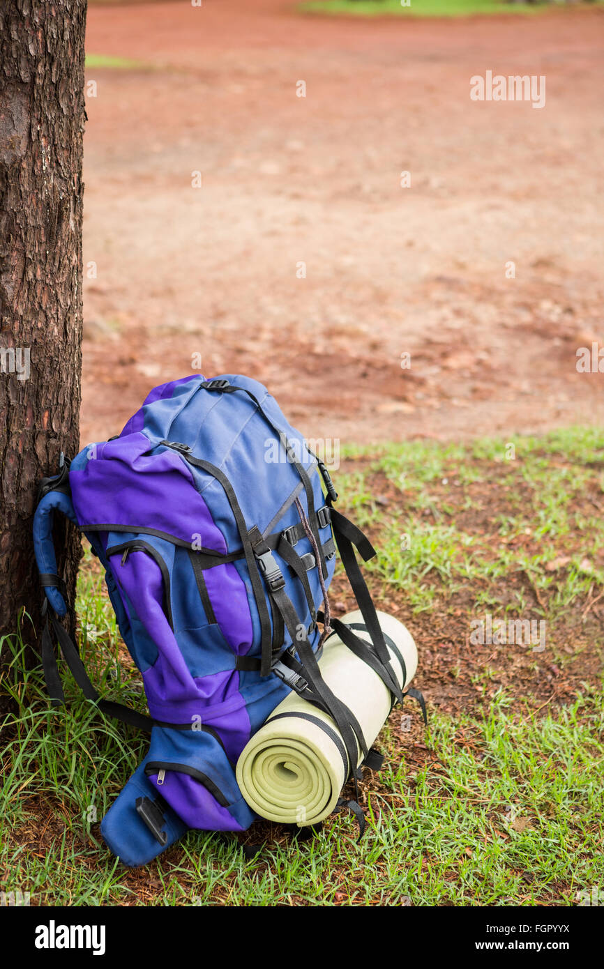 An hiking backpack leaning on a tree Stock Photo - Alamy