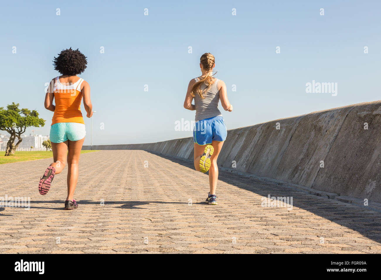 Rear view of two young women jogging together Stock Photo - Alamy