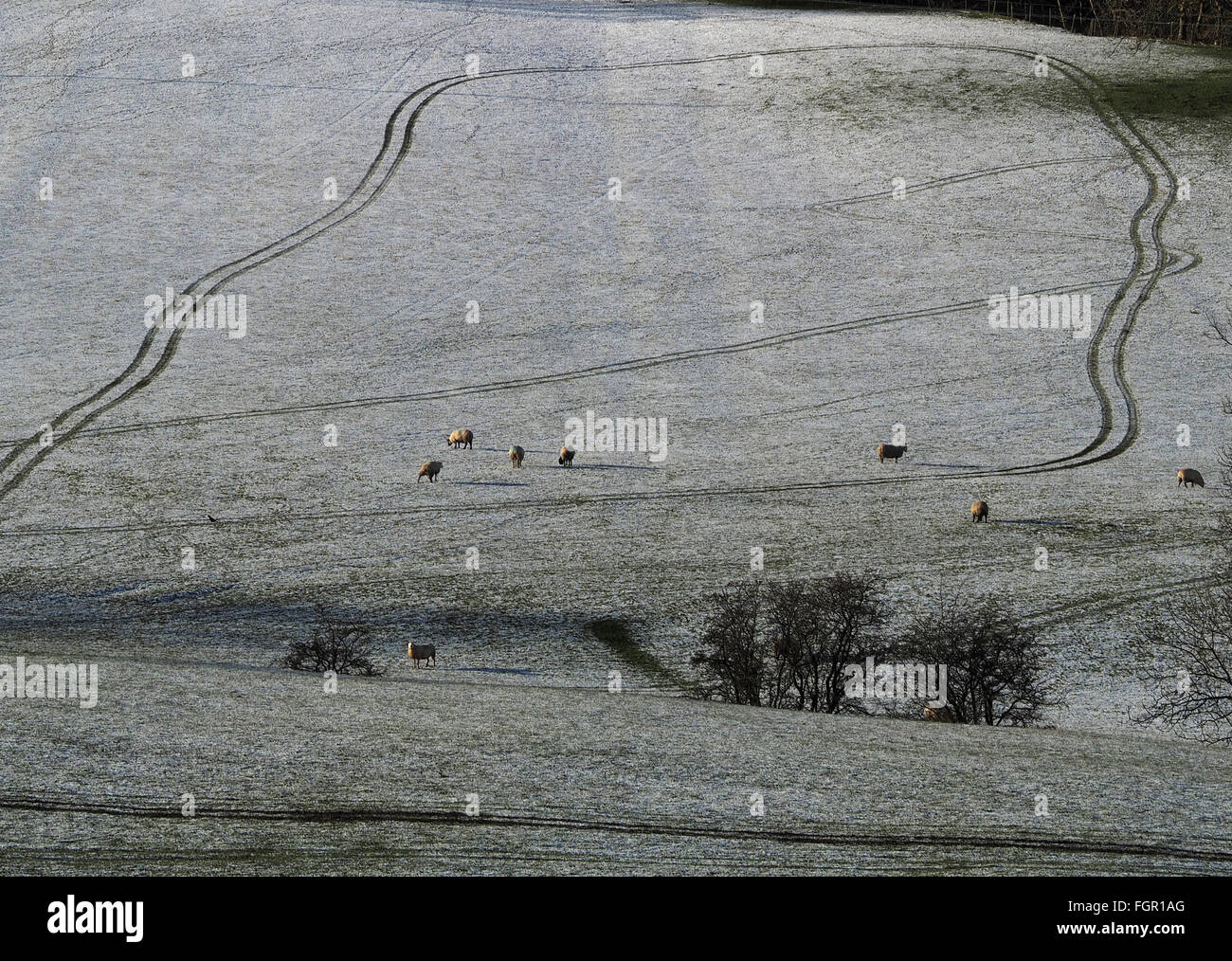 Sheep tracks hi-res stock photography and images - Alamy