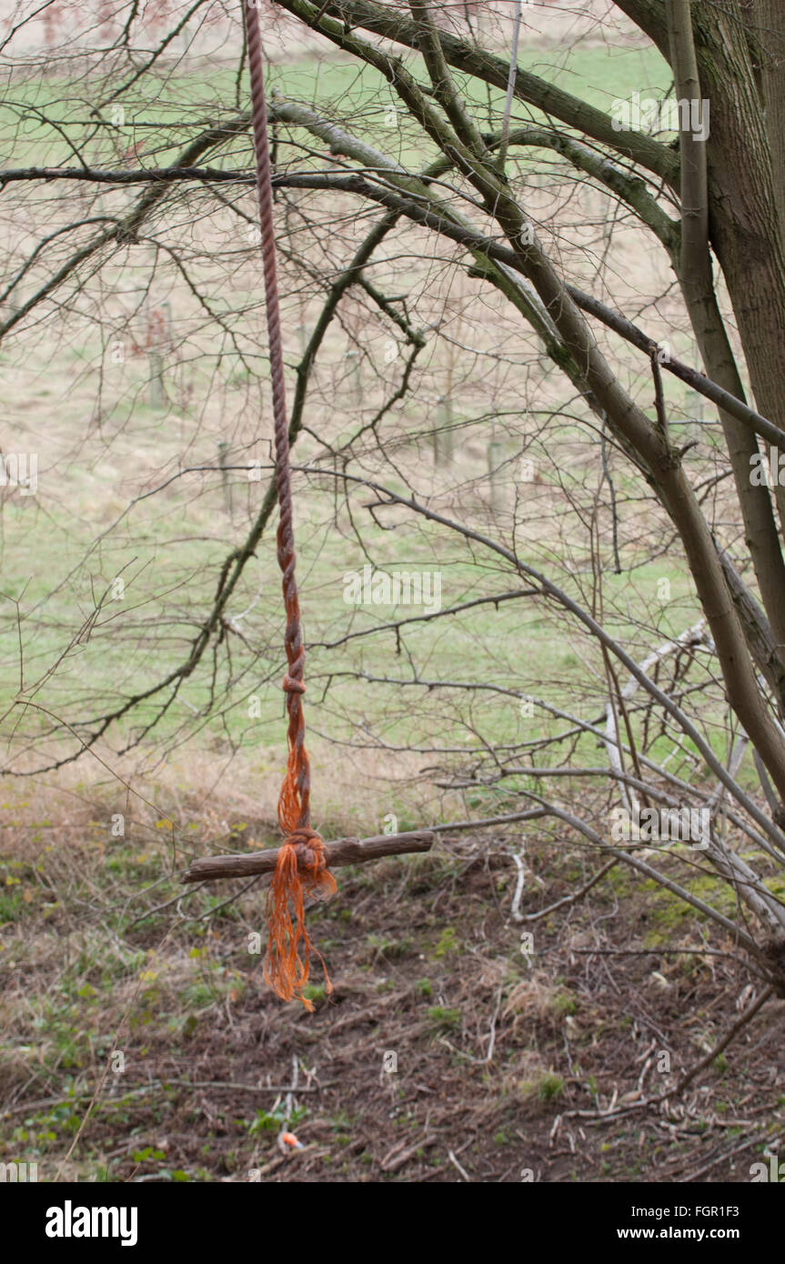 Home made rope swing on a tree in the forest Stock Photo - Alamy