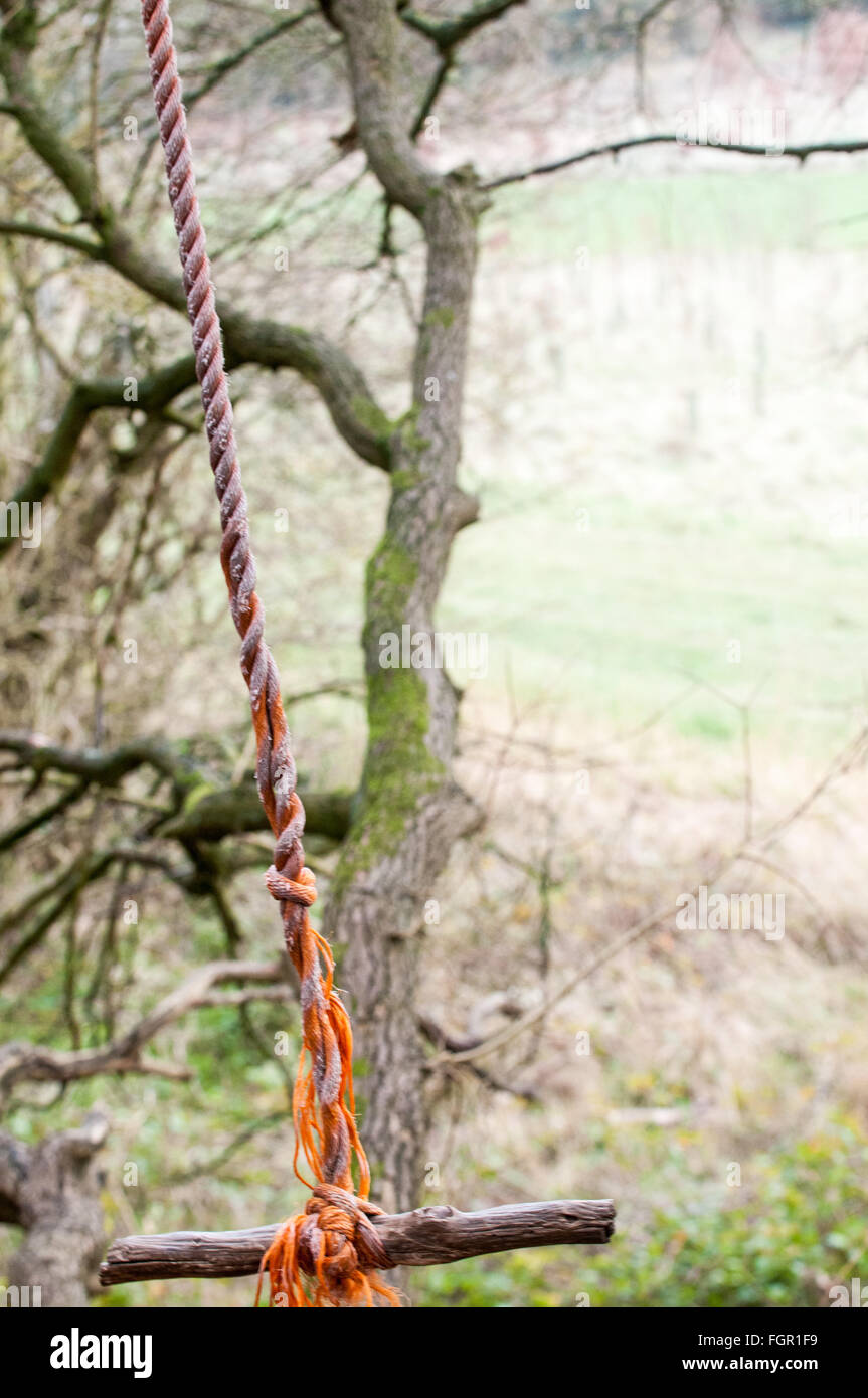 Rope swing hi-res stock photography and images - Alamy