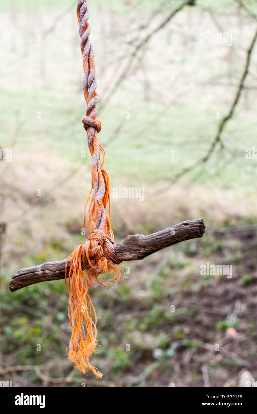 Children playing on tree swing hi-res stock photography and images - Alamy