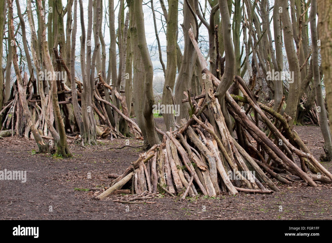 Stick structure forest hi-res stock photography and images - Alamy